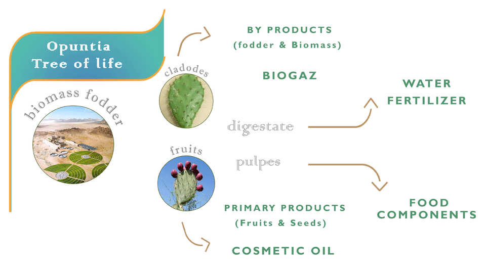 Orga Earth – Agri Bio Oil